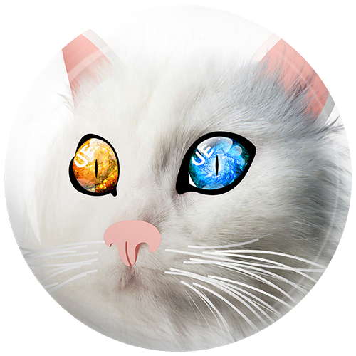 Customize your in-ear monitors - Ultimate Ears